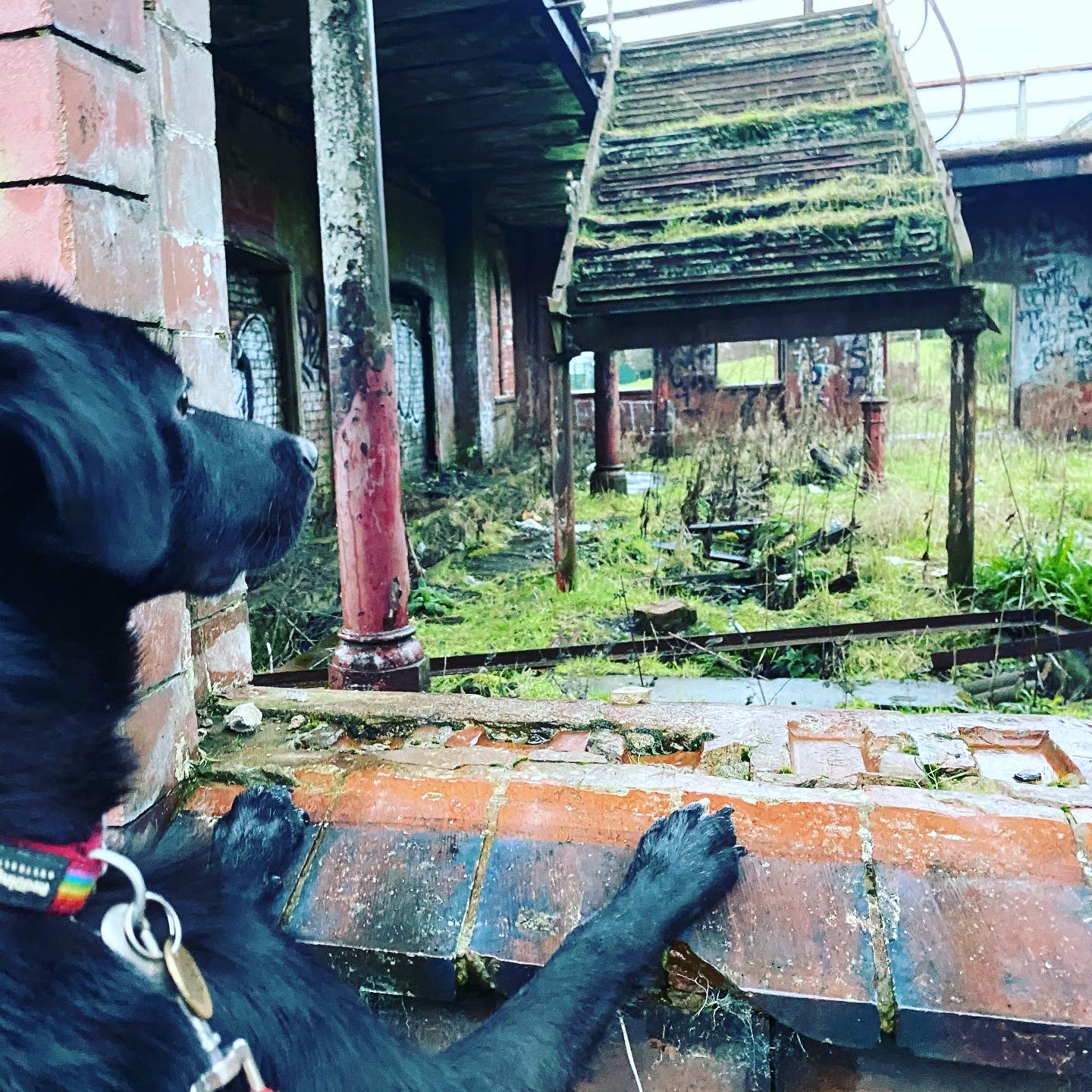 Top 10 parks thus far... - Glasgow With Kids