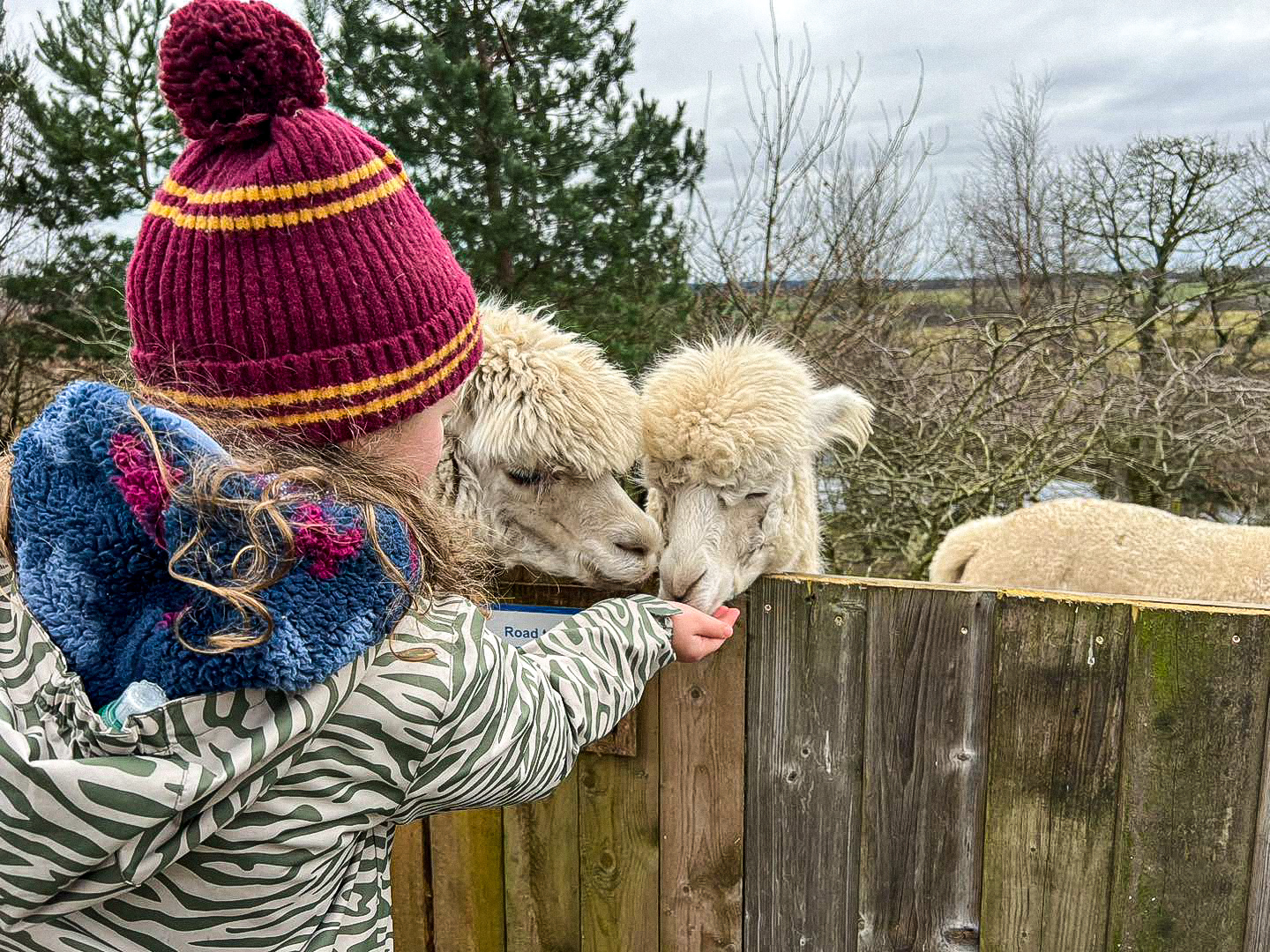 Cloybank Farm - Glasgow With Kids