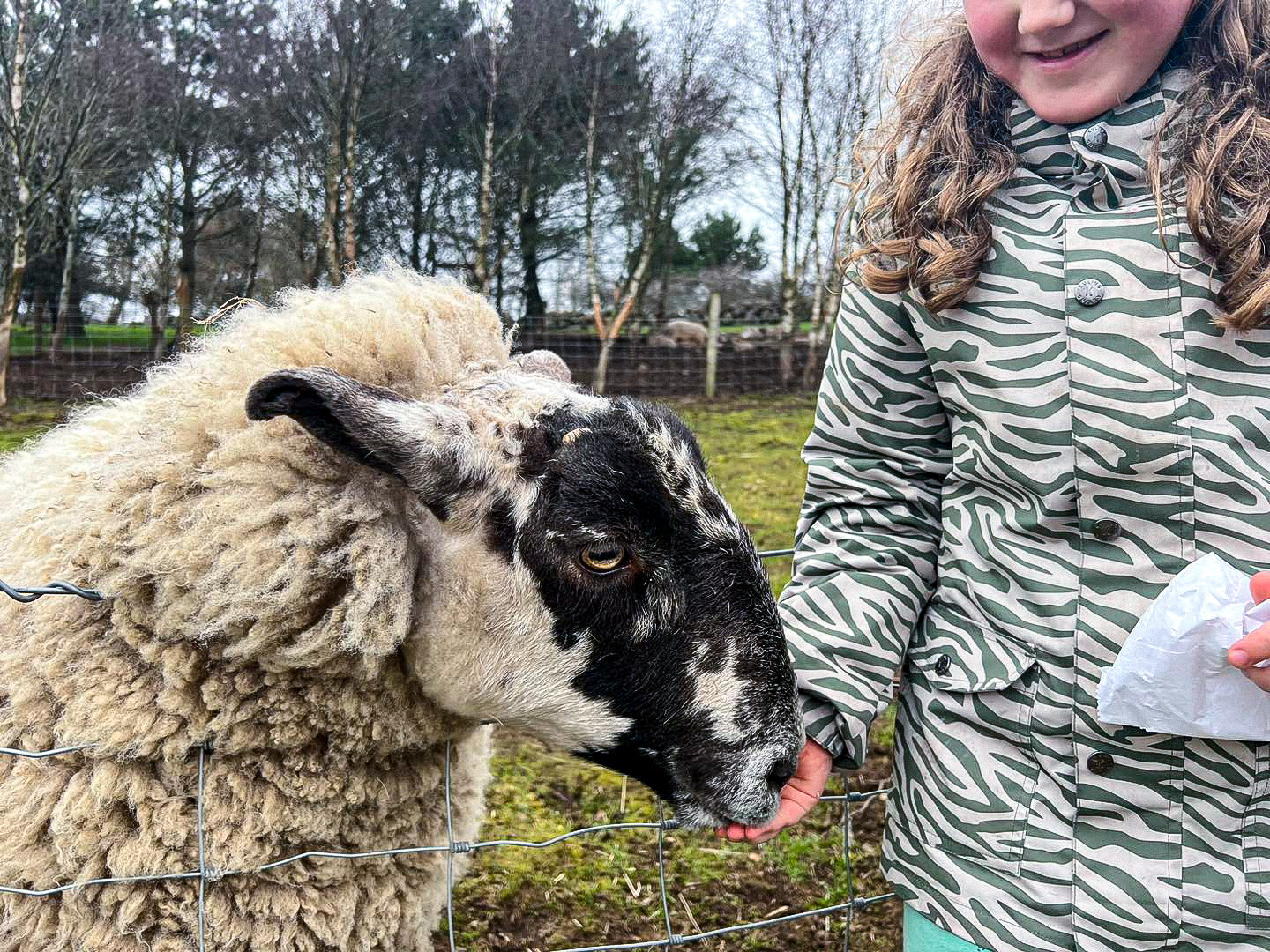 Cloybank Farm - Glasgow With Kids