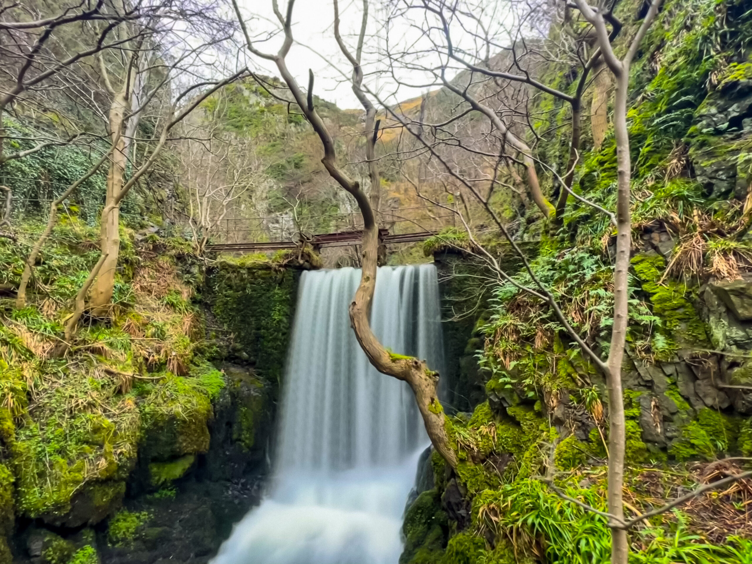 Sunday Strolls: Alva Glen - Glasgow With Kids