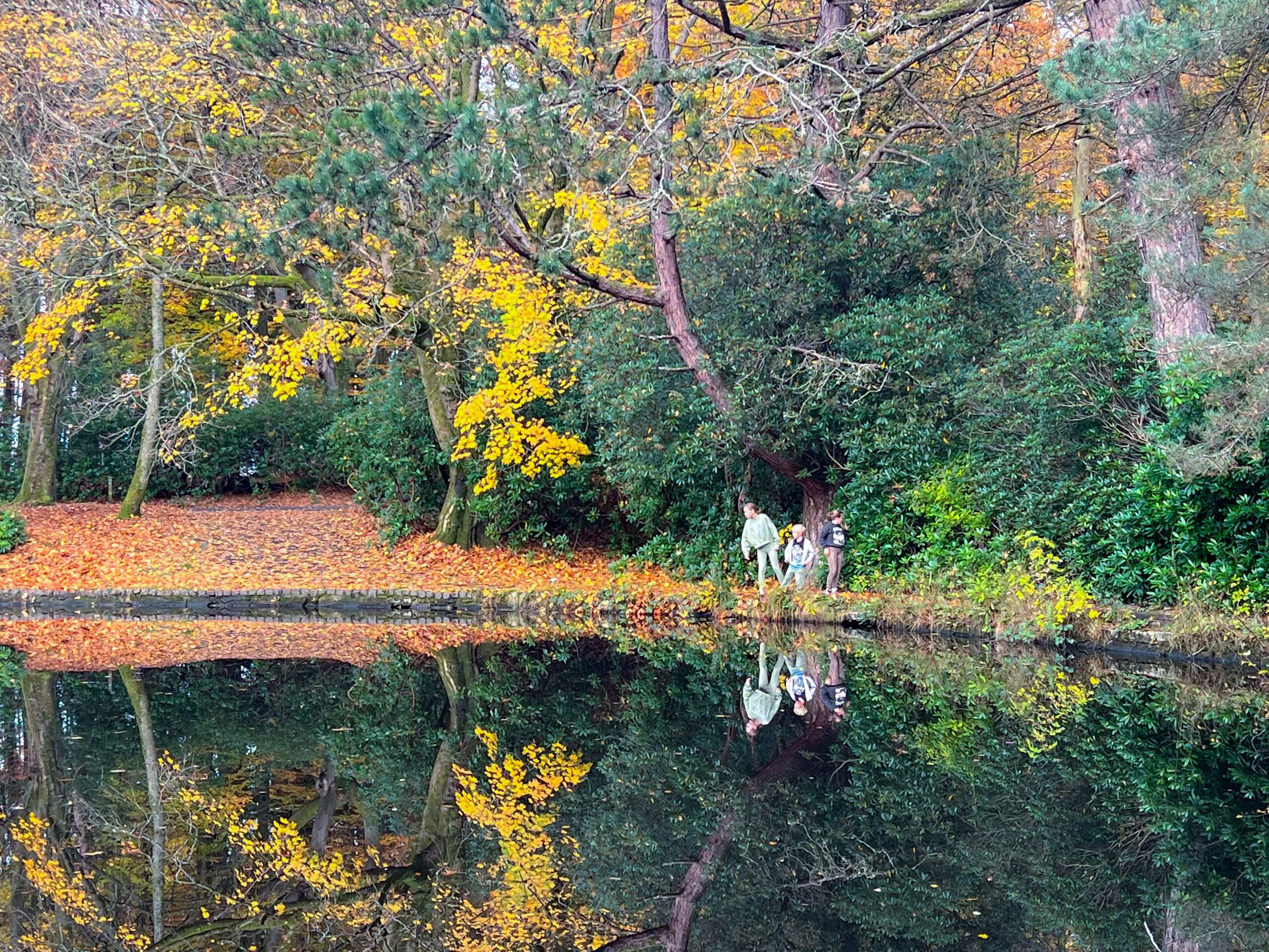 5 things to do in Pollok Park - Glasgow With Kids